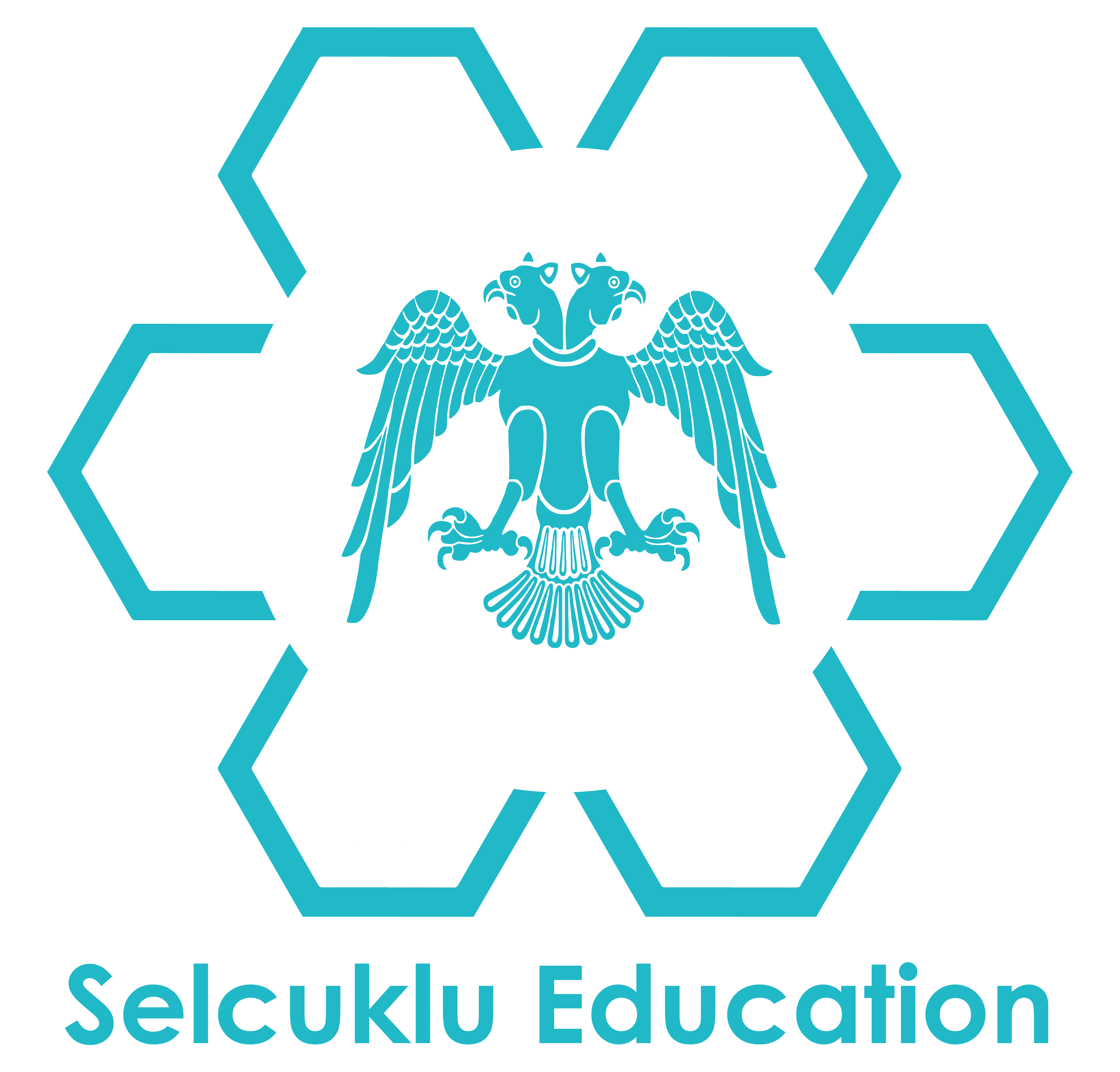 selcuklu education | Careers